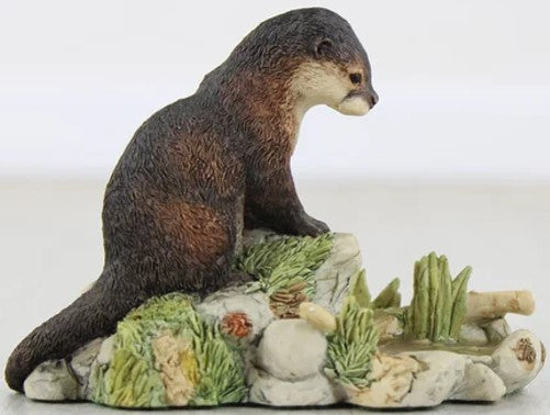 Otter - Reflection, by Border Fine Arts – The Scottish Shoppe & A ...